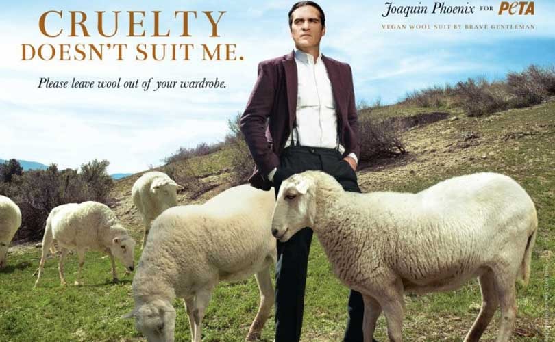 PETA launches campaign against wool industry